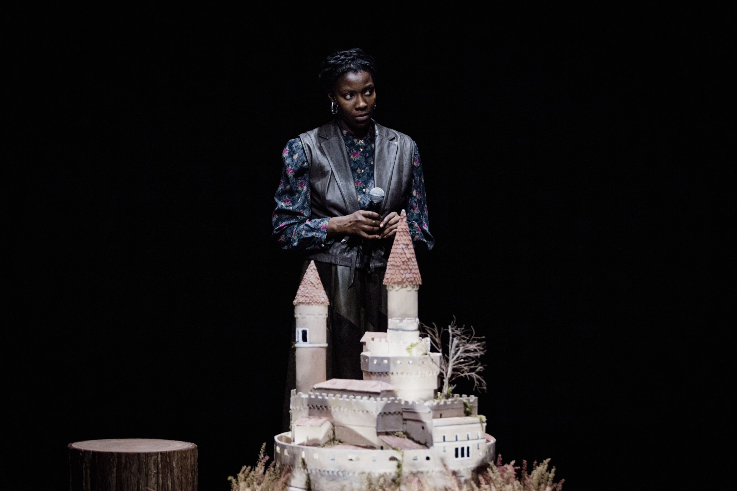 Le Château des Carpathes - Théâtre National Populaire